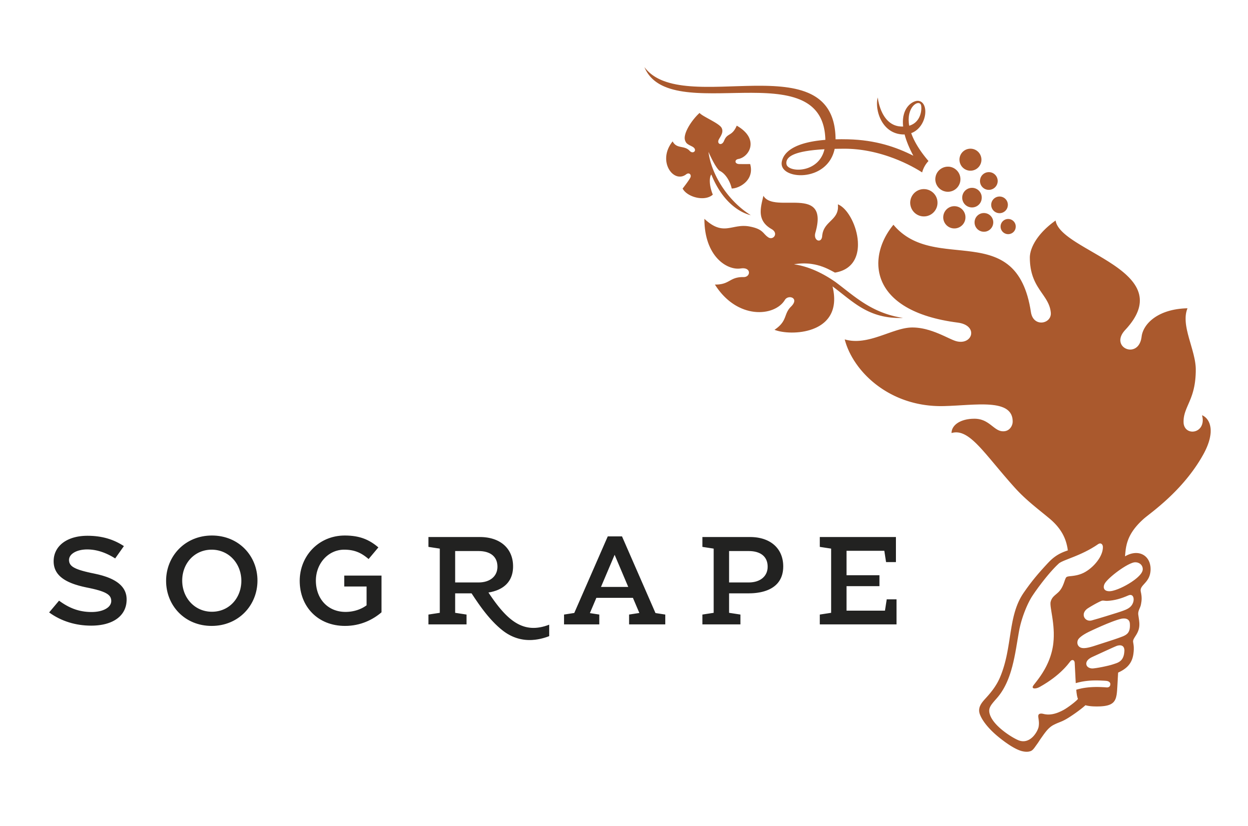 Sogrape Vinhos S.A. - COTEC Portugal